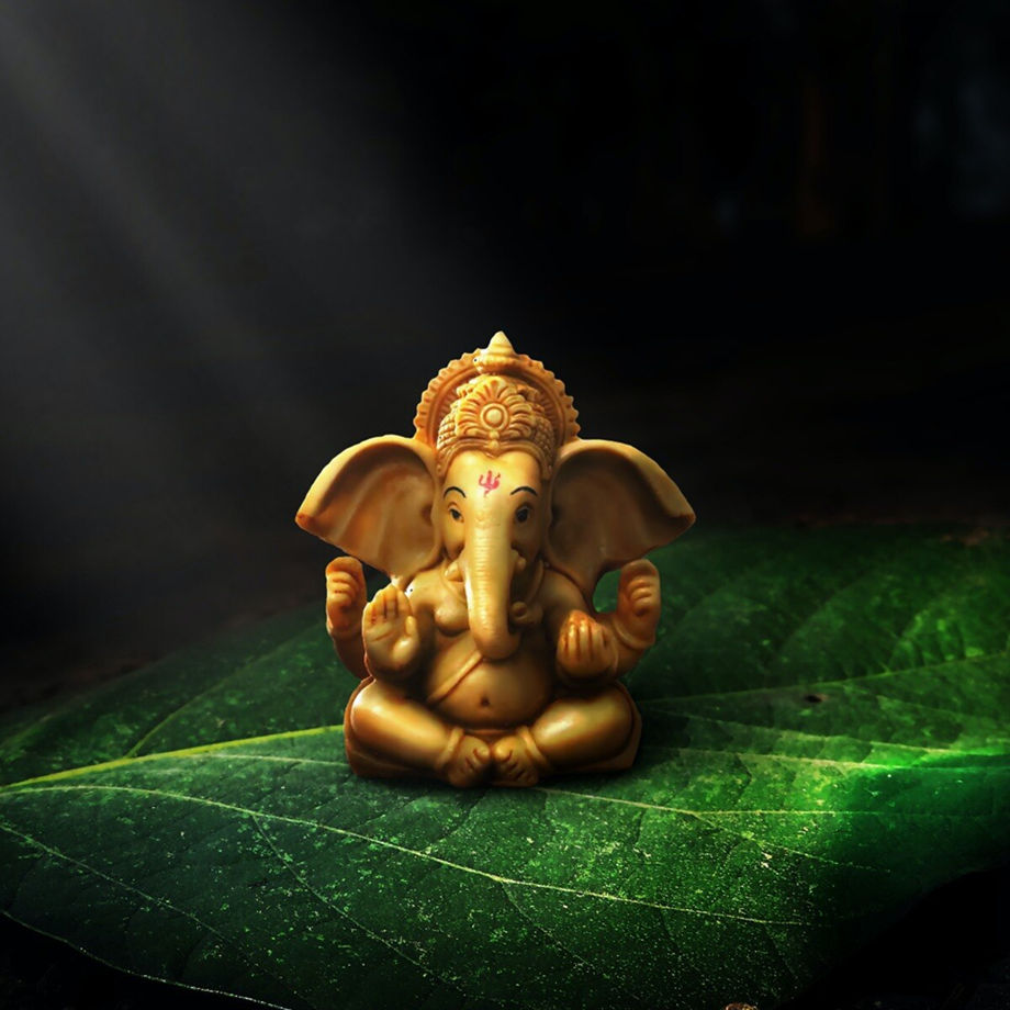 Ganesha Idol: While bringing the idol of Ganesha, keep these things in ...